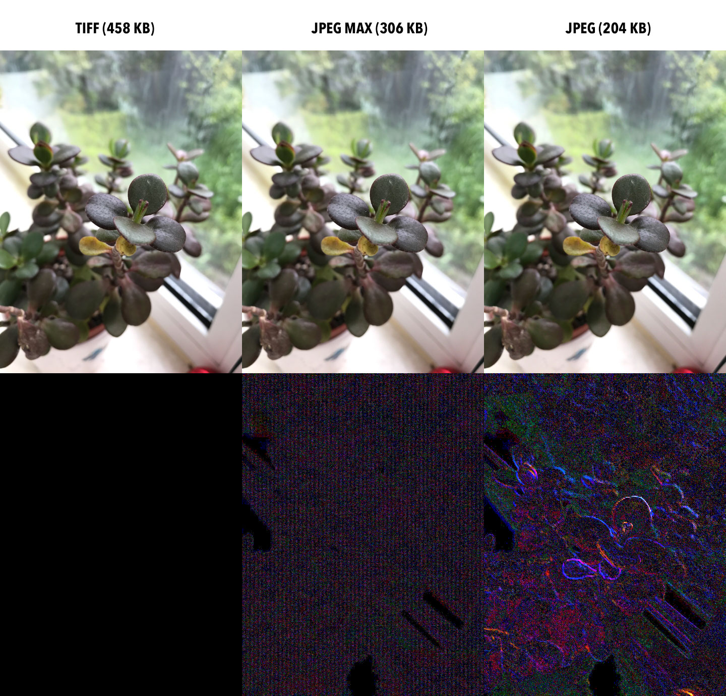 » JPEG or TIFF: that is the question